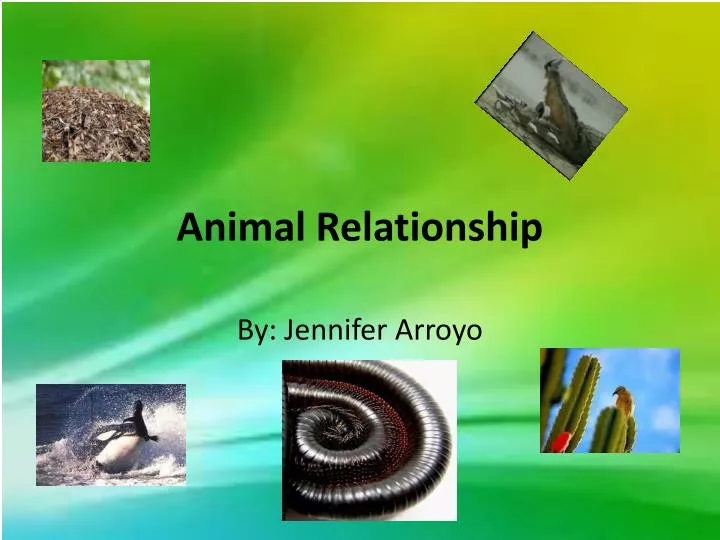 PPT - Animal Relationship PowerPoint Presentation, free download - ID ...