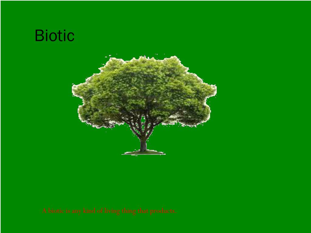PPT - Individuals, Populations, Communities, Ecosystems, Biotics, And ...