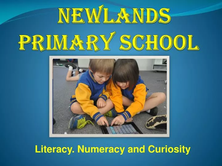 PPT - Newlands Primary School PowerPoint Presentation, free download ...