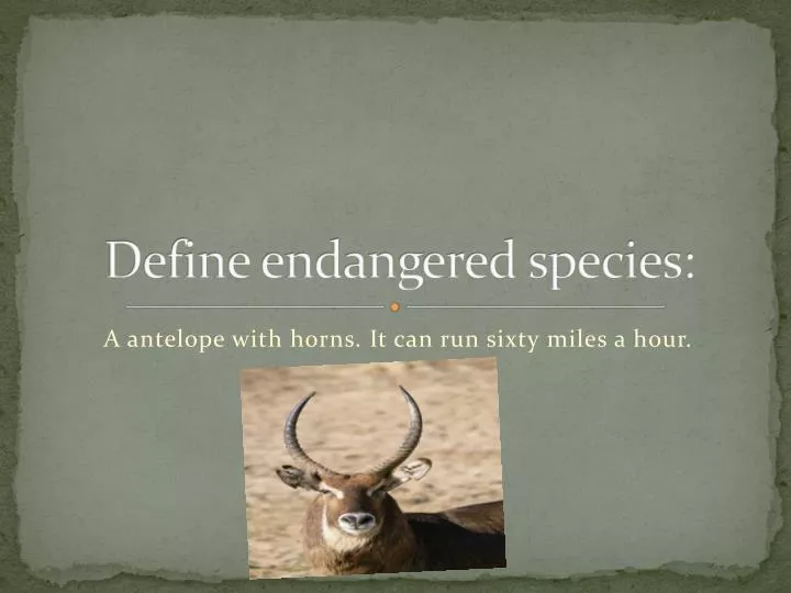 PPT - Define endangered species: PowerPoint Presentation, free download ...