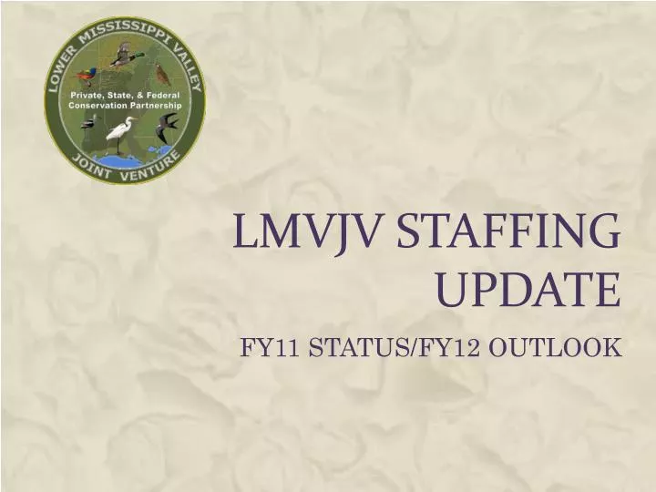 PPT - LMVJV Staffing Update PowerPoint Presentation, free download - ID ...