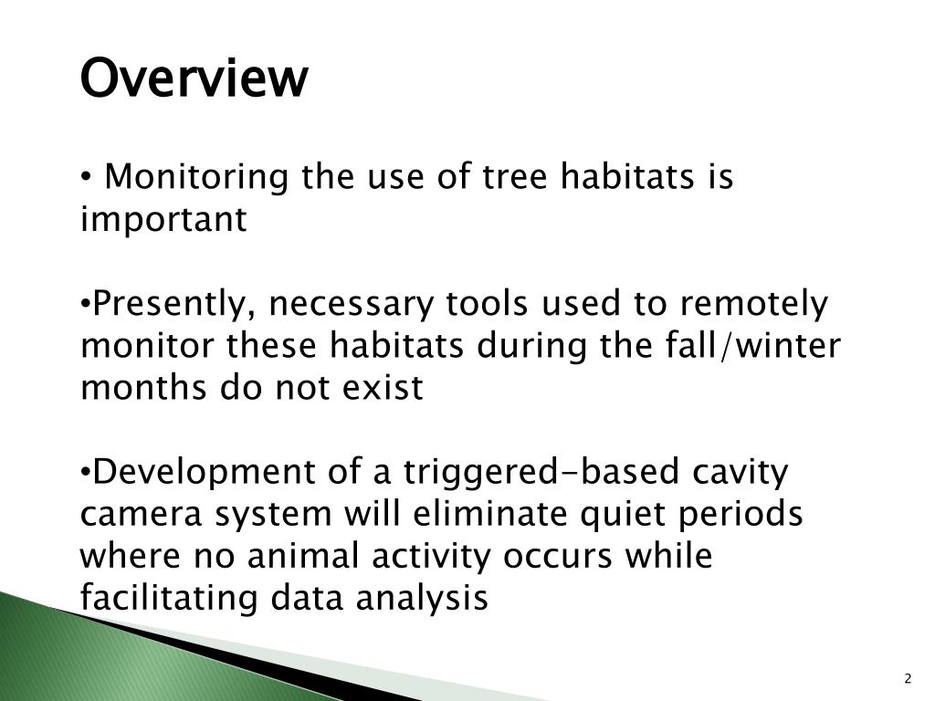 PPT - David Chaffee Kyle Rucker Michael Cook Delaun Smith Ashley Hihath ...