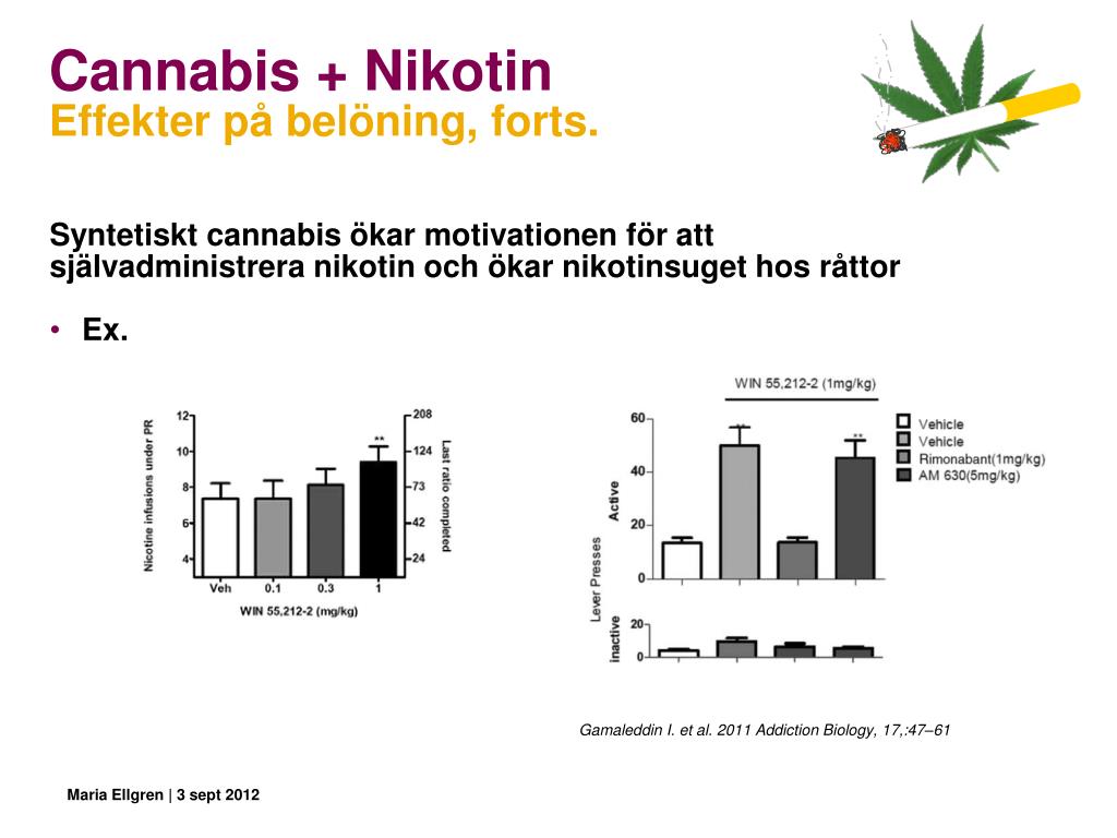 PPT - Cannabis, tobak och alkohol PowerPoint Presentation, free ...