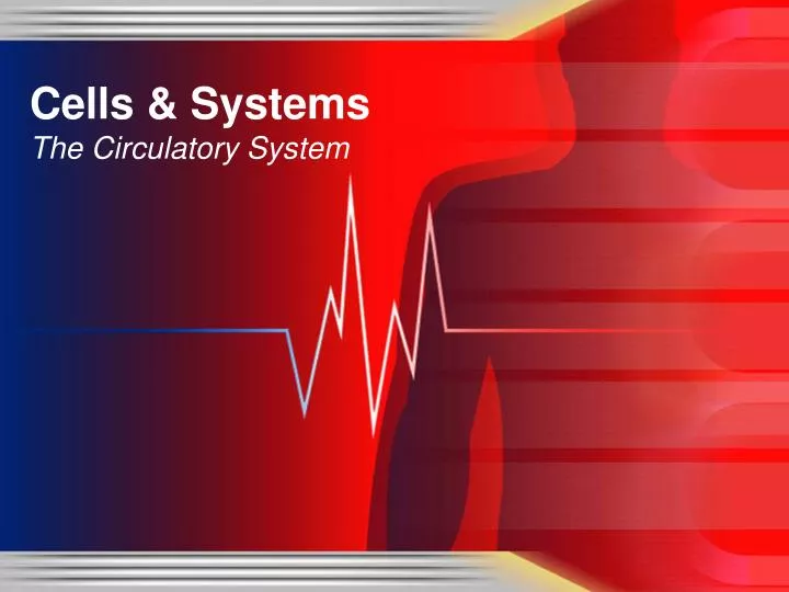 PPT - Cells & Systems The Circulatory System PowerPoint Presentation ...