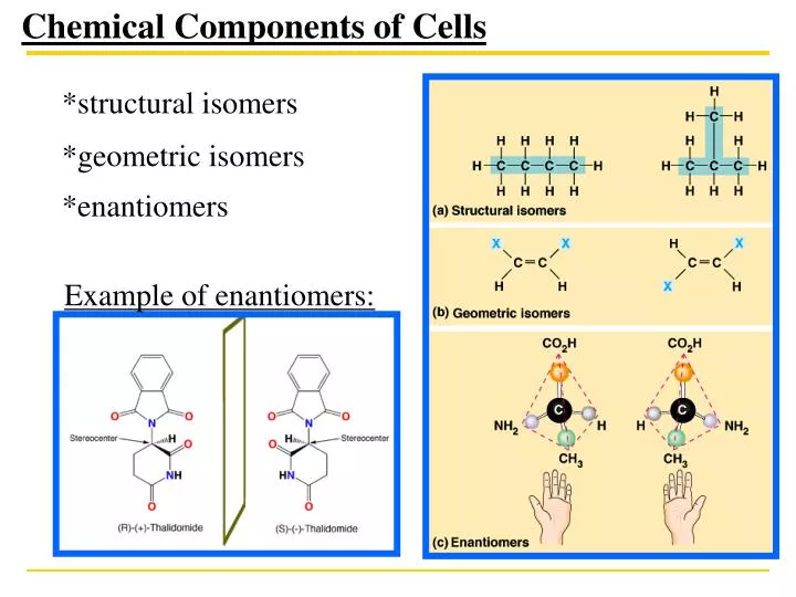 Structural Isomers Definition And Examples - kulturaupice Structural Isomers Definition And Examples - kulturaupice
