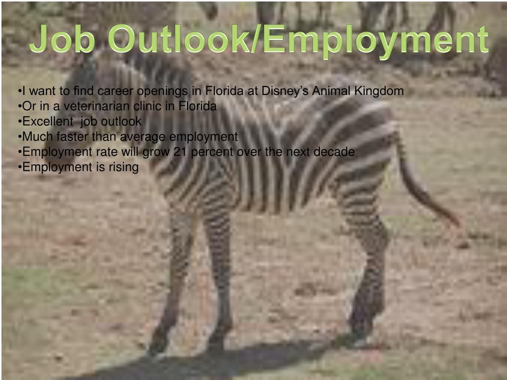PPT - Veterinarian Assistant and Laboratory Animal Caretaker PowerPoint ...