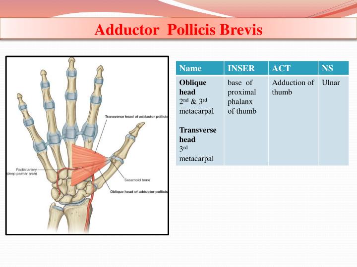 PPT - Dr. Saeed Vohra PowerPoint Presentation - ID:2822226
