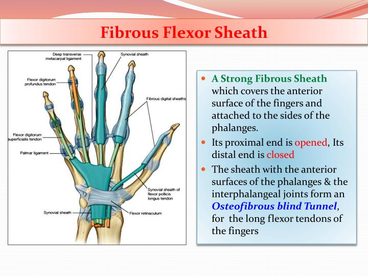 PPT - Dr. Saeed Vohra PowerPoint Presentation - ID:2822226