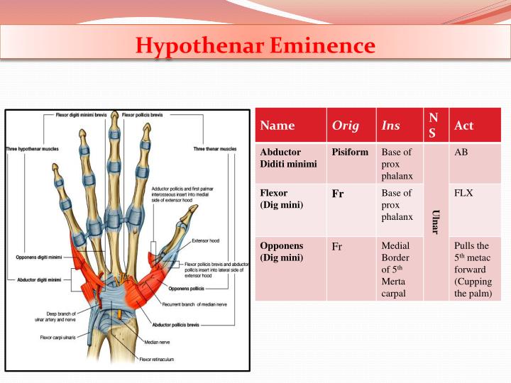 PPT - Dr. Saeed Vohra PowerPoint Presentation - ID:2822226