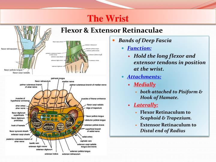PPT - Dr. Saeed Vohra PowerPoint Presentation - ID:2822226