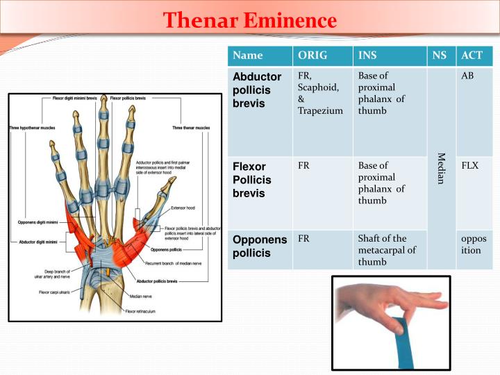 PPT - Dr. Saeed Vohra PowerPoint Presentation - ID:2822226