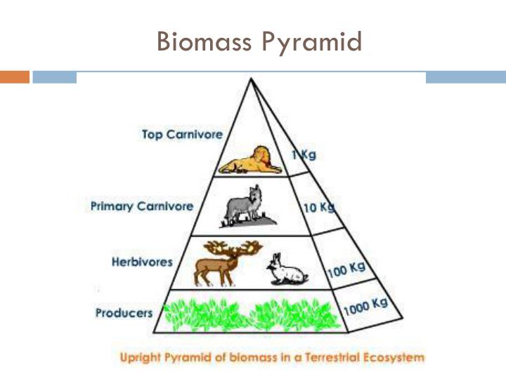 PPT - Unit: Ecological Biomes and Human Impacts on the Environment ...