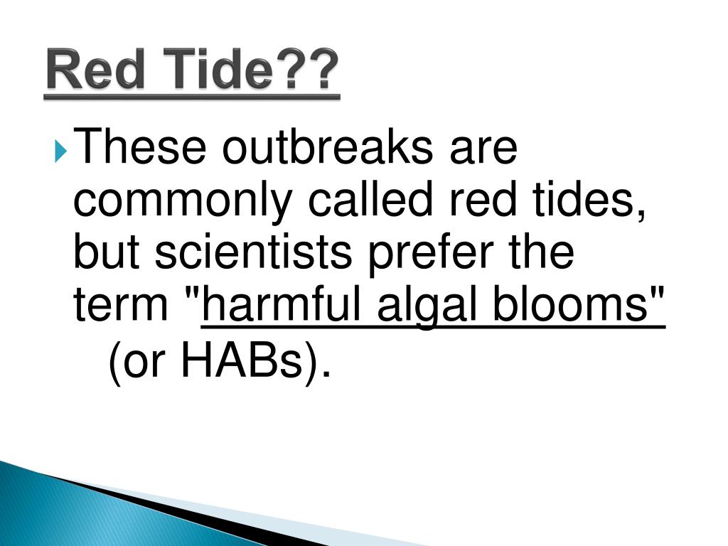 PPT - ISSUE: Harmful Algal Blooms HEMA, CHRISTINE, BETTINA, JOANNE ...
