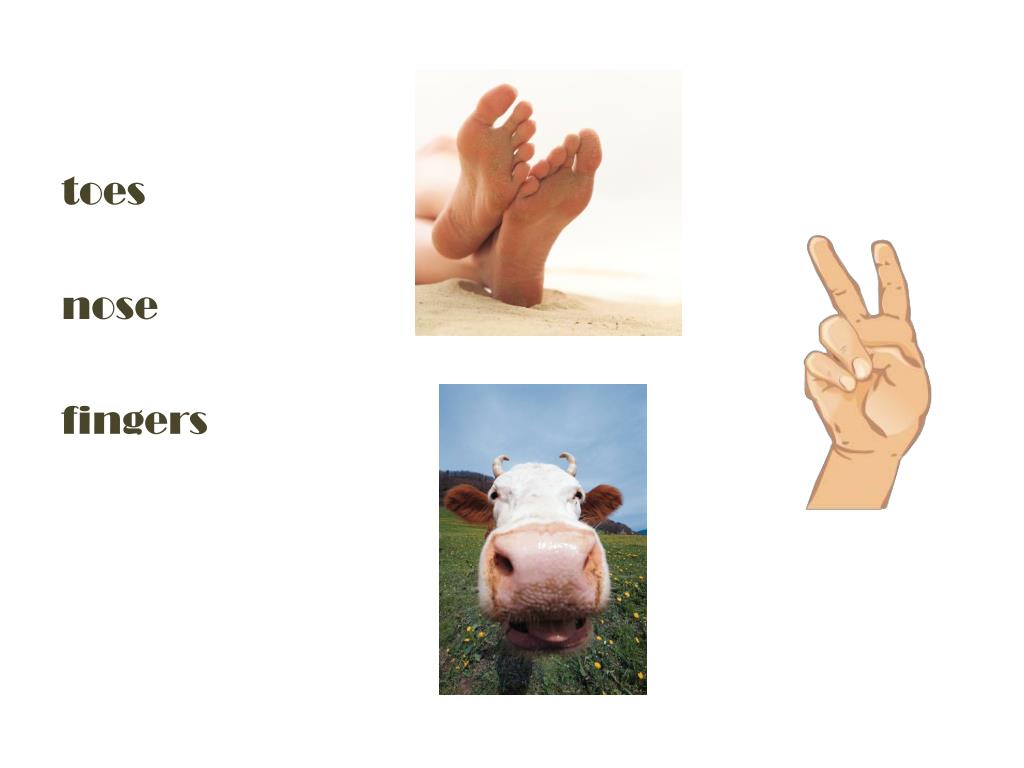 PPT - t oes n ose fingers PowerPoint Presentation, free download - ID ...