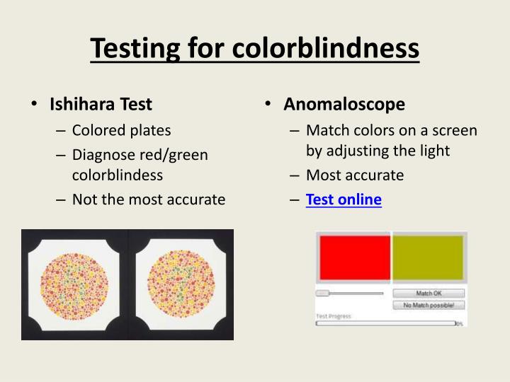 PPT - Color Blindness PowerPoint Presentation - ID:2823550