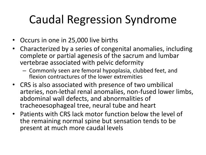 PPT - Caudal Regression Syndrome PowerPoint Presentation - ID:2823815
