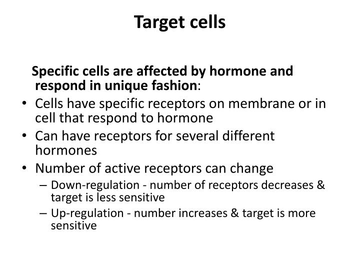 PPT - ENDOCRINOLOGY (HORMONES/RECEPTORS) PowerPoint Presentation - ID ...