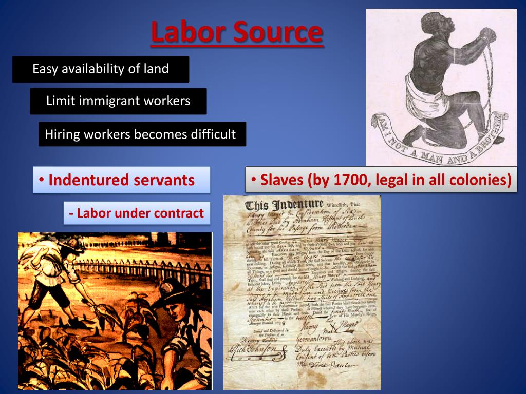 PPT - Colonial Culture Life in the Colonies, 1607 – 1776 PowerPoint ...