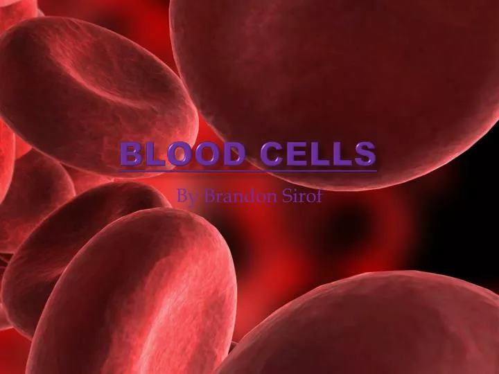 PPT - Blood Cells PowerPoint Presentation, free download - ID:2826638