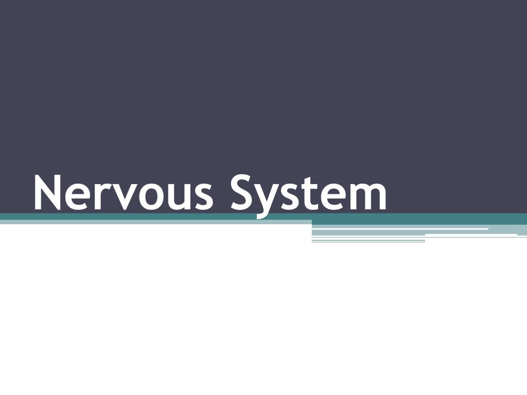 PPT - The Digestive System PowerPoint Presentation, free download - ID ...