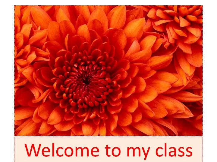 PPT - Welcome to my class PowerPoint Presentation, free download - ID ...