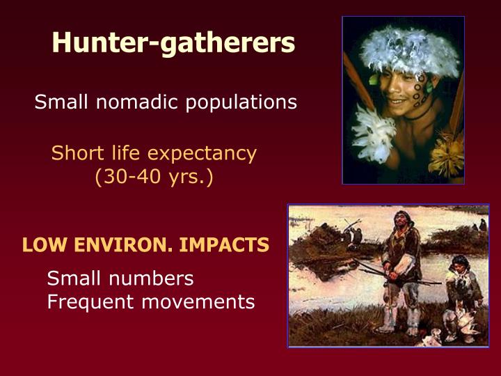 PPT - Human Population Growth PowerPoint Presentation - ID:2827658