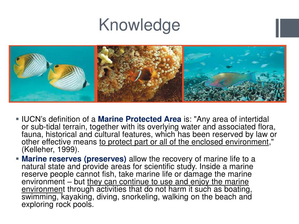 PPT - Piti Marine Protected Area/ Piti Bomb Holes Preserves PowerPoint ...