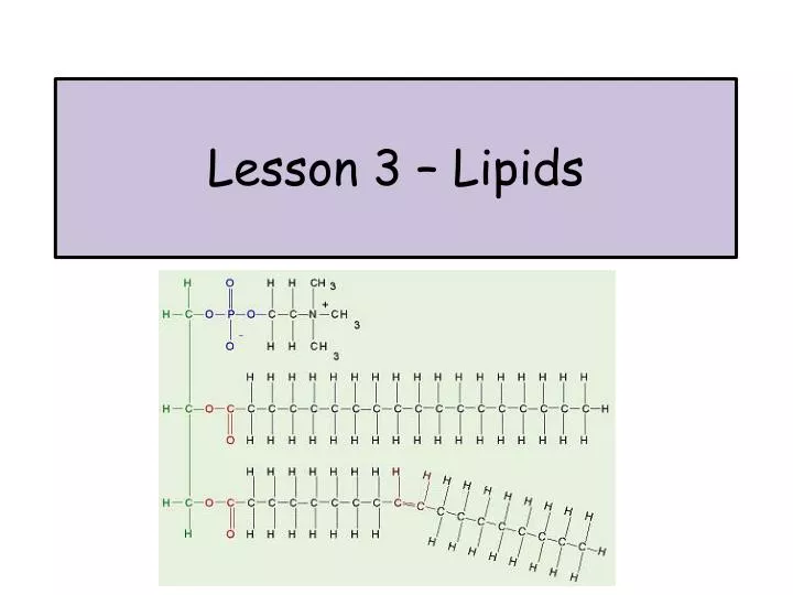 PPT - Lesson 3 – Lipids PowerPoint Presentation, free download - ID:2827930