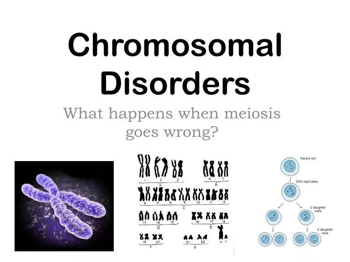 PPT - Chromosomal Disorders PowerPoint Presentation, free download - ID ...