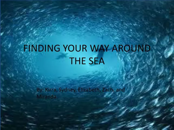 PPT - FINDING YOUR WAY AROUND THE SEA PowerPoint Presentation, free ... PPT - FINDING YOUR WAY AROUND THE SEA PowerPoint Presentation, free ...
