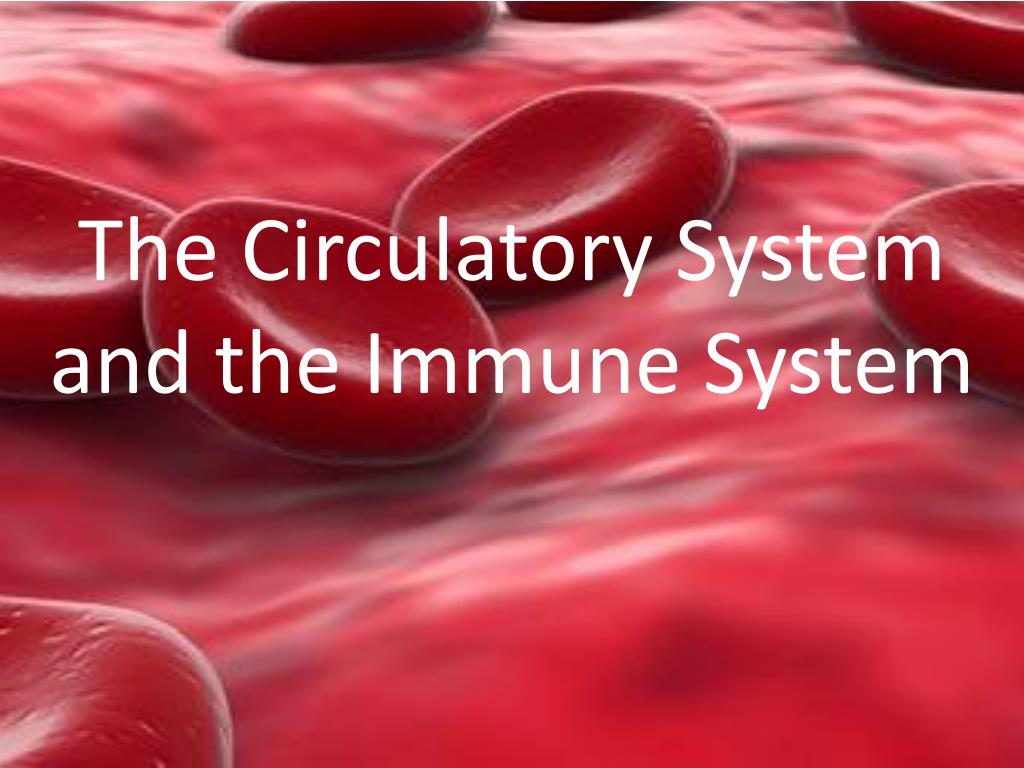 PPT - The Circulatory System and the Immune System PowerPoint ...