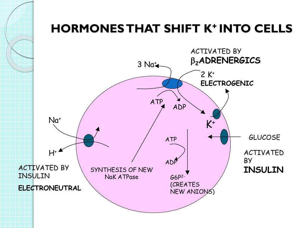 PPT - POTASSIUM: An Almond Joy a day means an ER stay PowerPoint ...