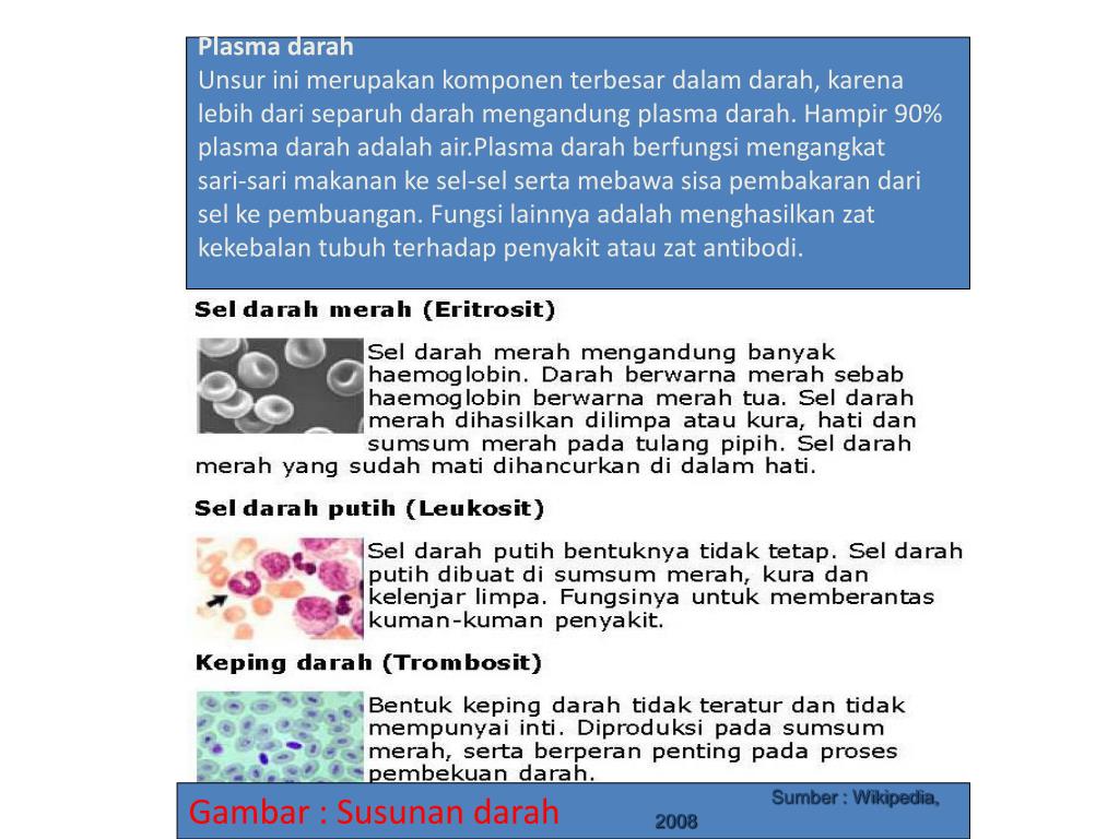 PPT - Gambar:difusi toksin ke dalam sel dengan menggunakan molekul ...