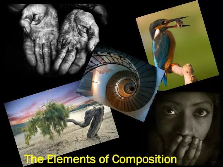 PPT - The Elements of Composition PowerPoint Presentation, free ...