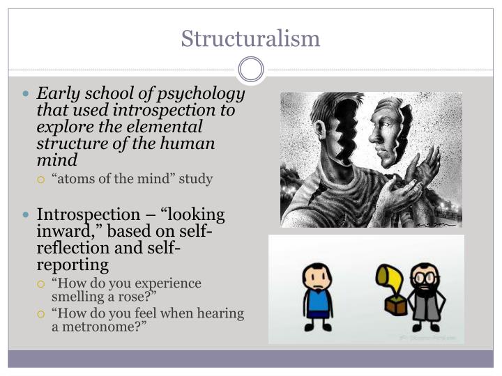 PPT - Introduction to Psychology PowerPoint Presentation - ID:2830524