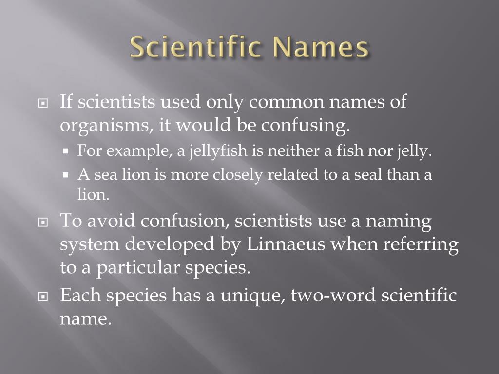 PPT - Living Things and How are living things classified? PowerPoint ...