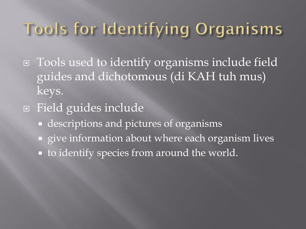 PPT - Living Things and How are living things classified? PowerPoint ...