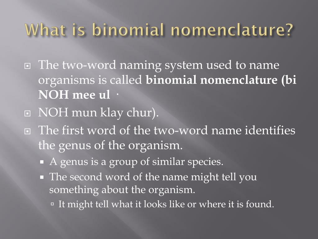 PPT - Living Things and How are living things classified? PowerPoint ...