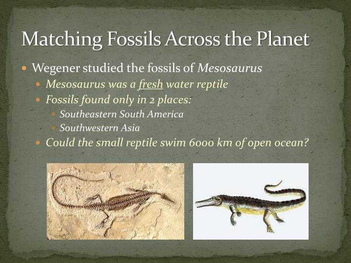 PPT - Thermal Energy Transfer Drives Plate Tectonics PowerPoint ...