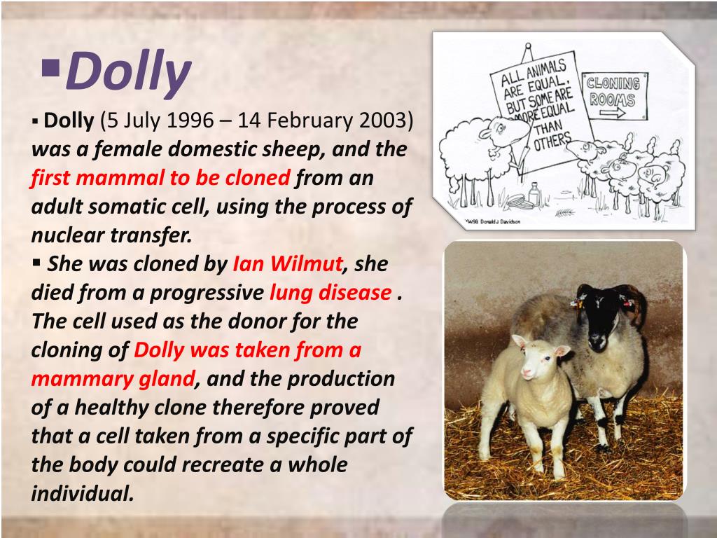 PPT - Faculty of Agriculture Biotechnology PowerPoint Presentation ...