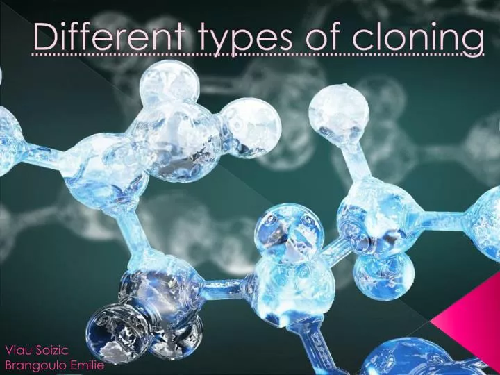 PPT - Different types of cloning PowerPoint Presentation, free download ...