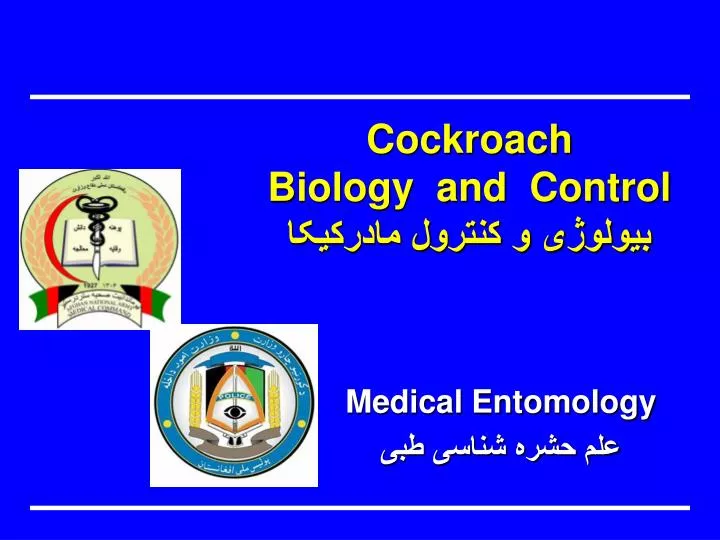 PPT - Cockroach Biology and Control بیولوژی و کنترول مادرکیکا ...