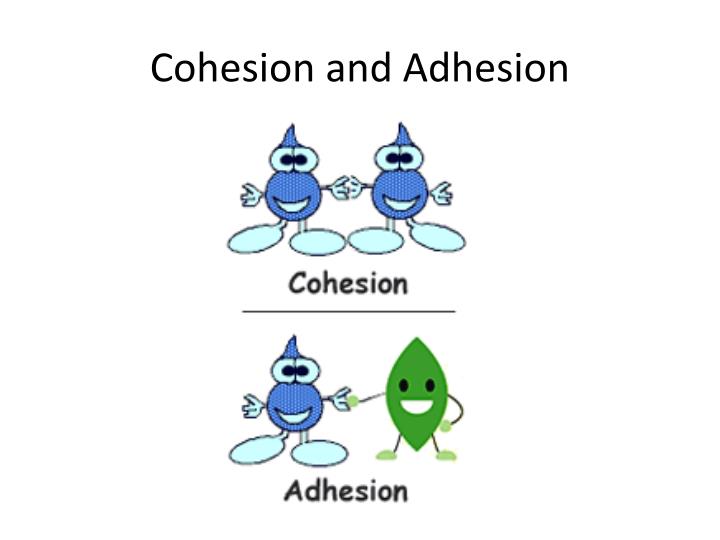PPT - Unit 4: The Hydrosphere PowerPoint Presentation - ID:2833261