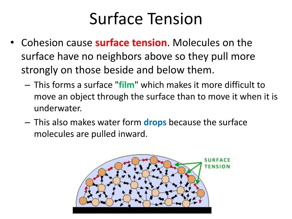 Surface Tension Definition In Chemistry - vrogue.co Surface Tension Definition In Chemistry - vrogue.co