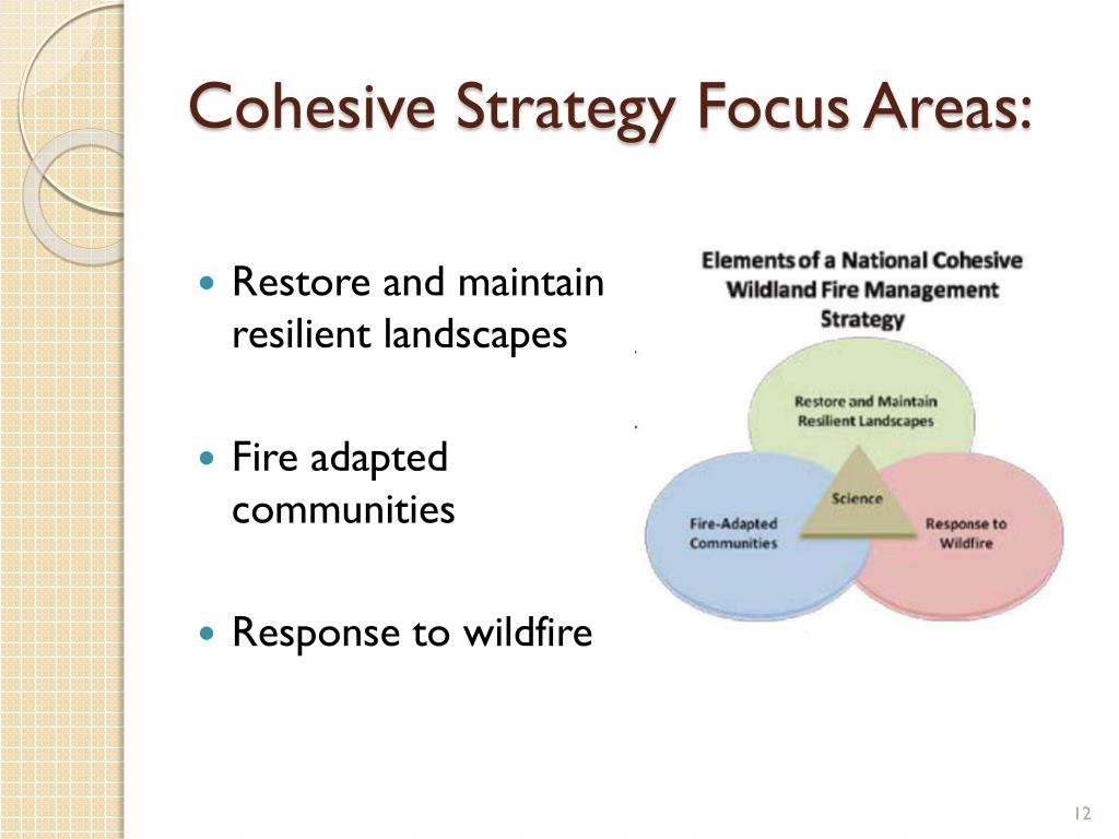 PPT - National Cohesive Wildland Fire Management Strategy PowerPoint ...