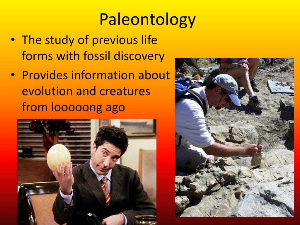 PPT - Genetic Engineering PowerPoint Presentation, free download - ID ...