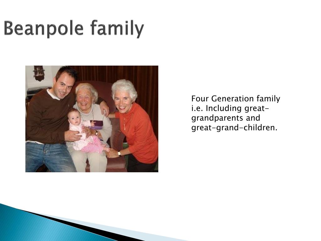 PPT - Family and Household lesson 1 PowerPoint Presentation, free ...