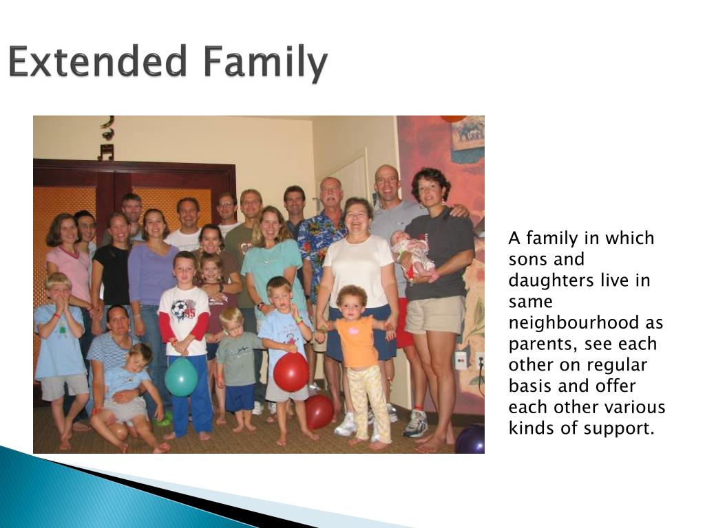 PPT - Family and Household lesson 1 PowerPoint Presentation, free ...