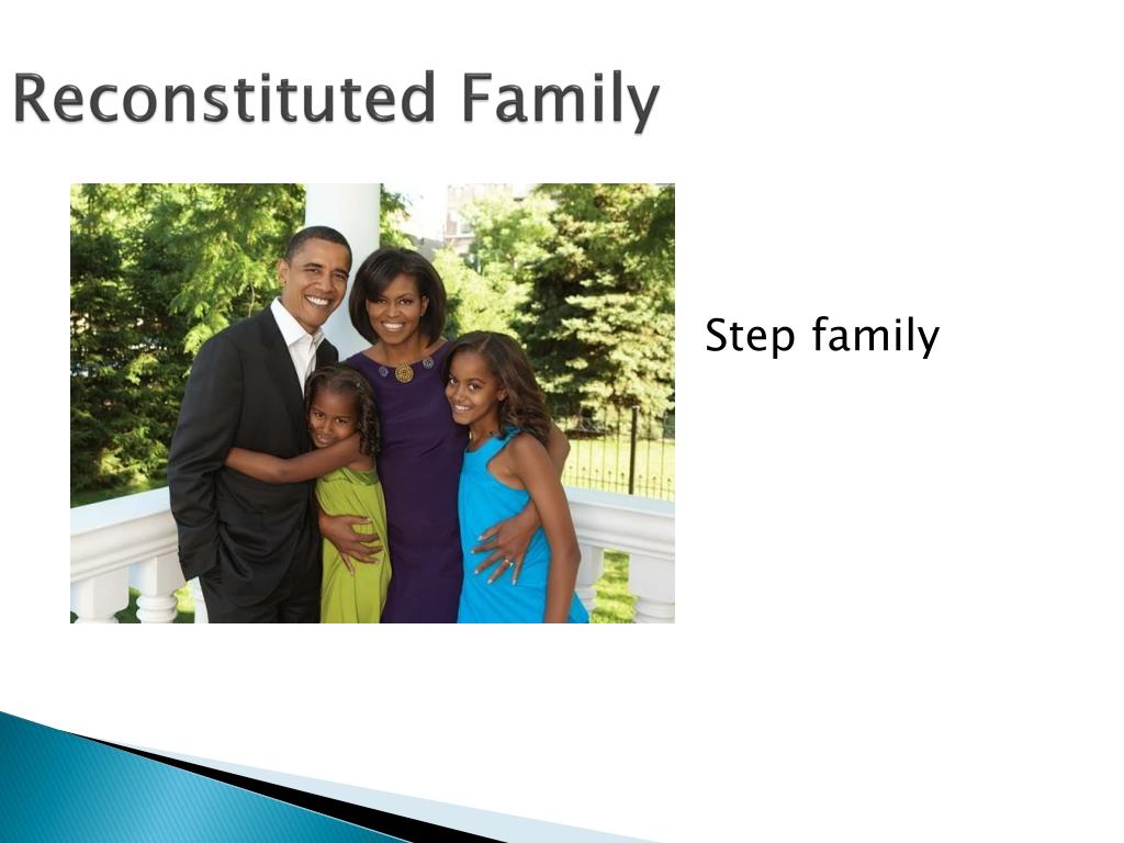 PPT - Family and Household lesson 1 PowerPoint Presentation, free ...