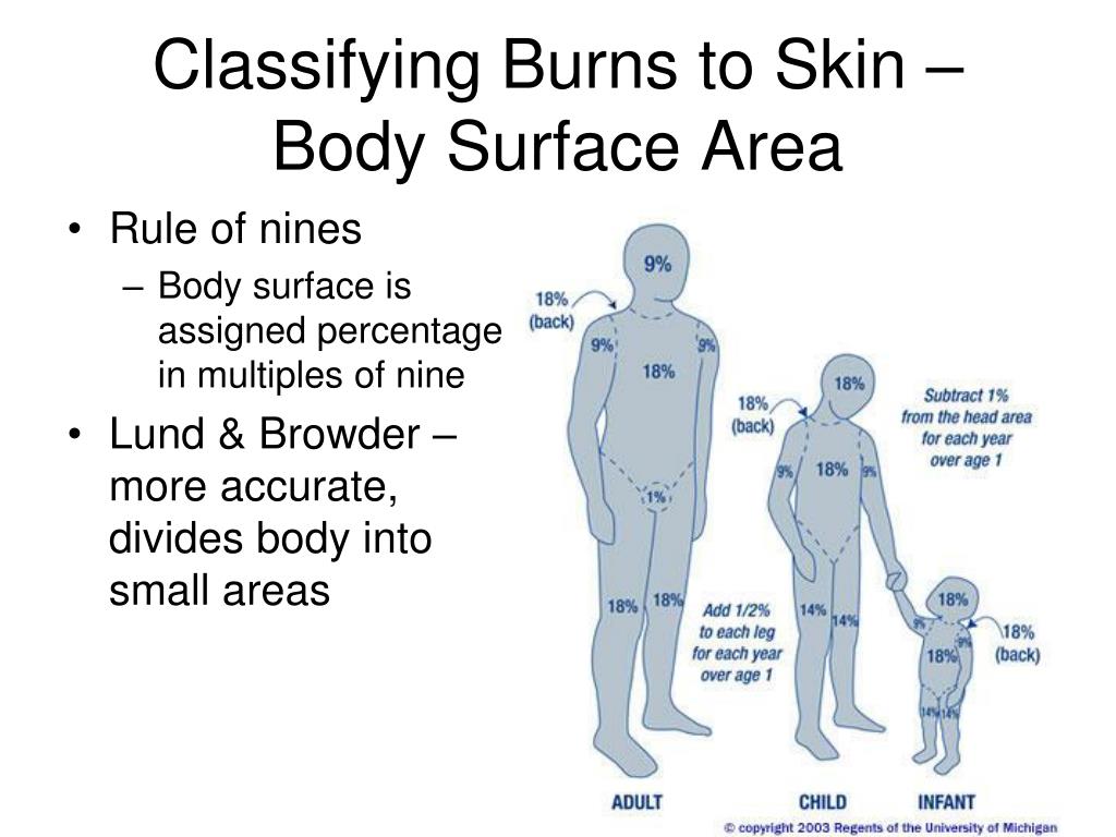 PPT - The Skin in Health & Disease PowerPoint Presentation, free ...